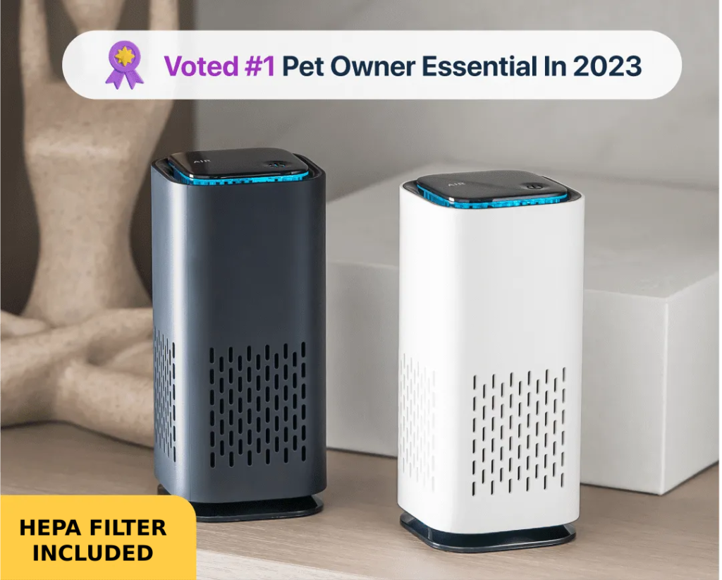 The Science of Cat Purring: Healing Properties Explained – PawKitty