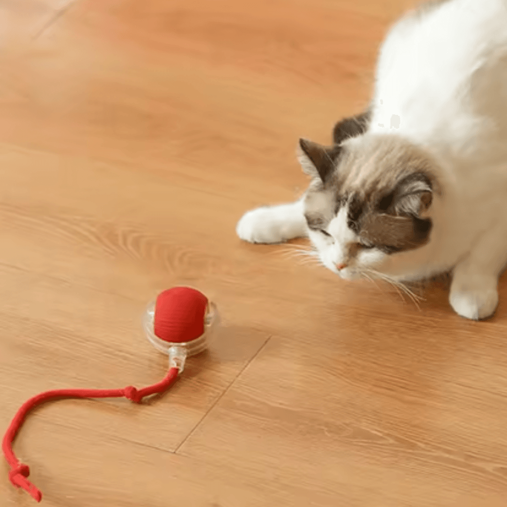 WormWhirl – Whack-a-Wiggle Interactive Cat Toy - PawKitty